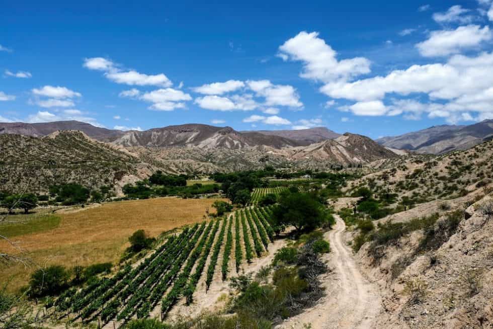 Extreme Altitude Collection - Bonner Private Wine Partnership