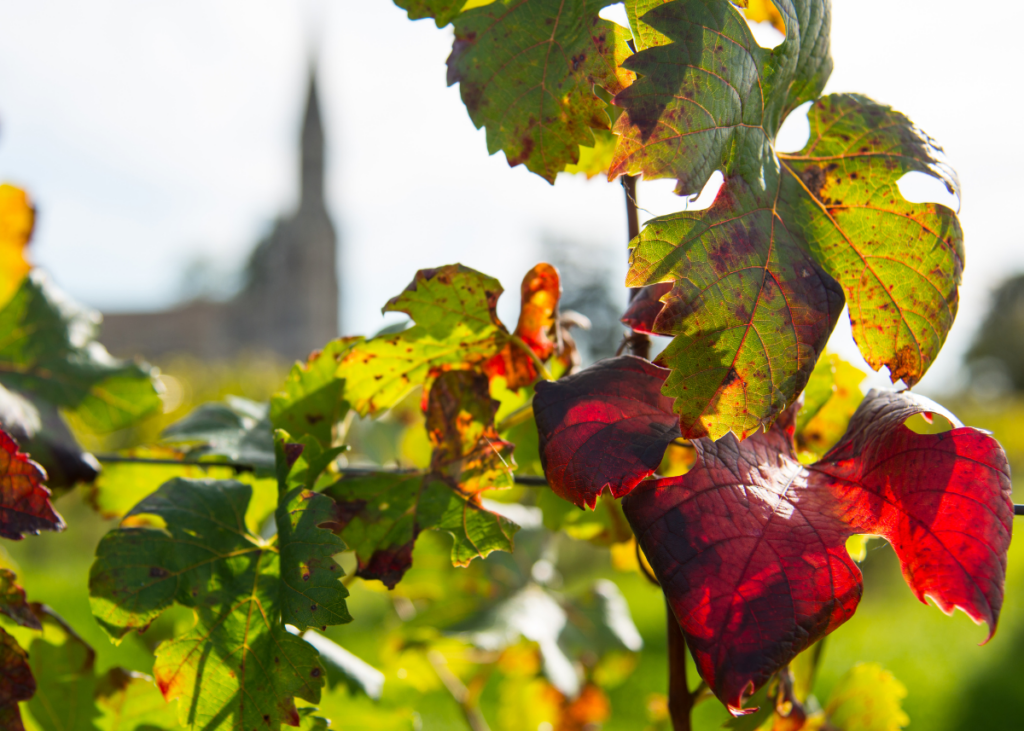 Is Pomerol the Best Wine in the World? Finest Bordeaux Terroir - Bonner ...